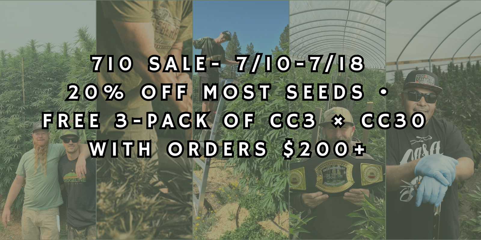 Ridgeline Farms Seeds – Tangled Roots