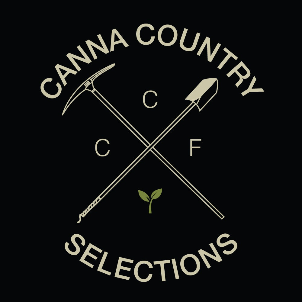 CC4 x Gelato 41 - Fems – Tangled Roots